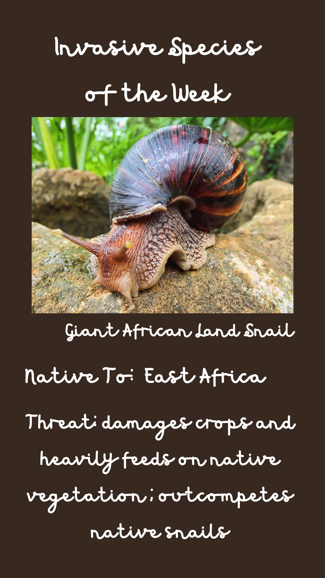 Invasive Species of the Month: November Edition – Students Against ...
